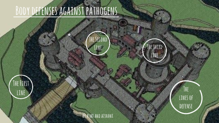 Body Defenses Against Pathogens by Aishani Chowdhury on Prezi
