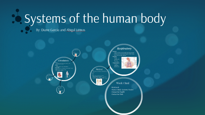 Systems of the human body by Diane Garcia