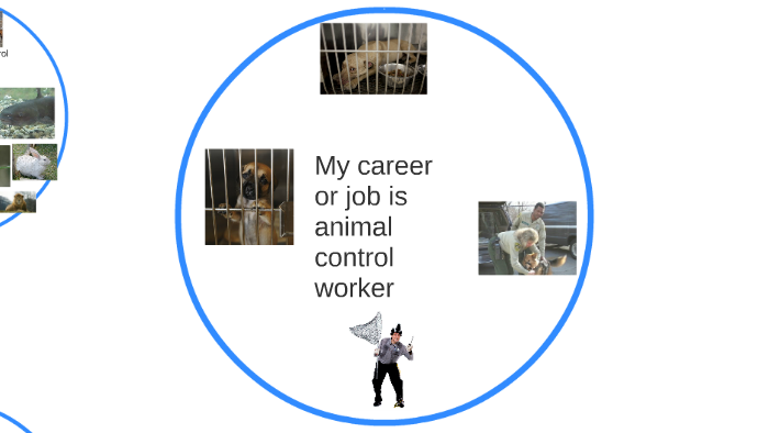 My job or career is animal control worker by Toni Francis on Prezi