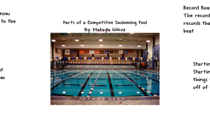 Parts of a Competitive Swimming Pool by makayla wilcox on Prezi