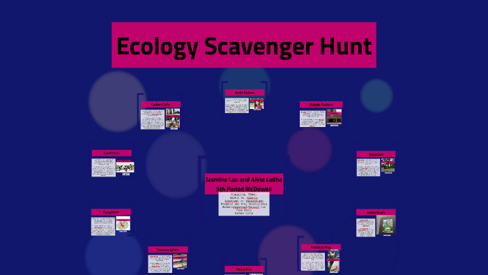 Ecology Scavenger Hunt by Jasmine Lau on Prezi