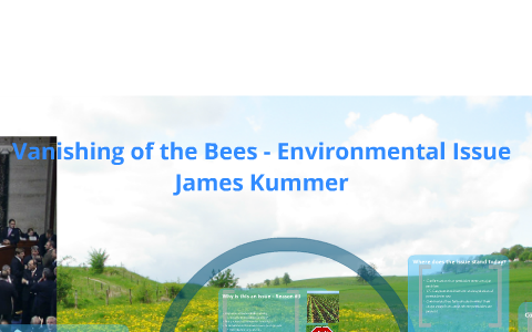Environmental Impact of the Vanishing Bee by james kummer on Prezi
