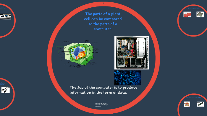 Plant cell compared to Computer by John Iacino on Prezi