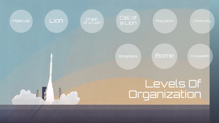 Levels Of Organization Project by Fardeen Ali on Prezi