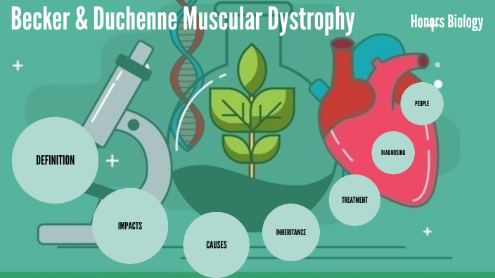 Becker & Duchenne Muscular Dystrophy by Olivia Kendziorski on Prezi