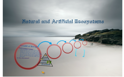 Natural and Artificial Ecosystems by Bertie Charman on Prezi