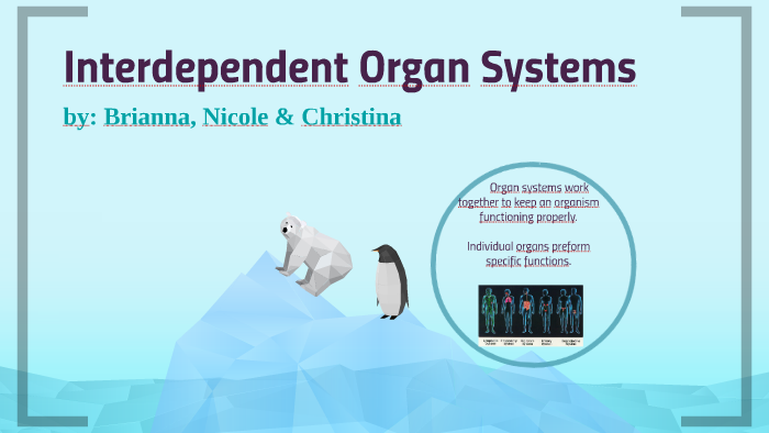 Interdependent Organ Systems by Brianna Coulter on Prezi