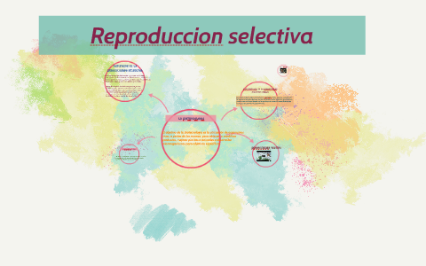 ReproDuccion selectiva by Alberto Carmona Fuentes on Prezi