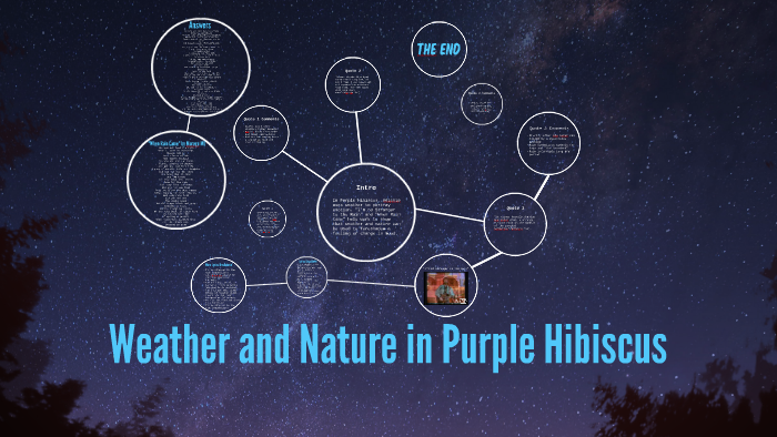 Purple Hibiscus by L&P Hibiscus on Prezi
