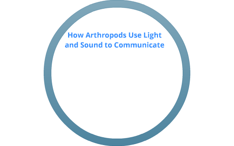 How Insects Use Sound and Light Waves to Communicate. by Scorpio Snader ...