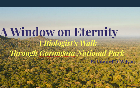 A Window on Eternity by Maria Gigliotti on Prezi