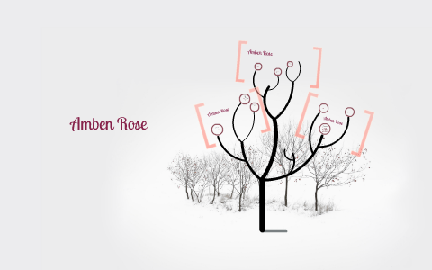Marketing Mix- Amben Rose by Meghan Haight on Prezi