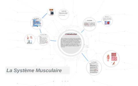 La Système Musculaire by rohini mohammed on Prezi