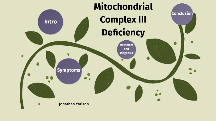 Mitochondrial Complex III Deficiency by Jonathan Yarison on Prezi