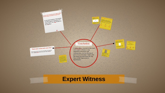 Expert Witness by