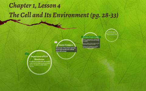 The Cell and Its Environment (pg. 28-33) by Lisette Hernandez on Prezi