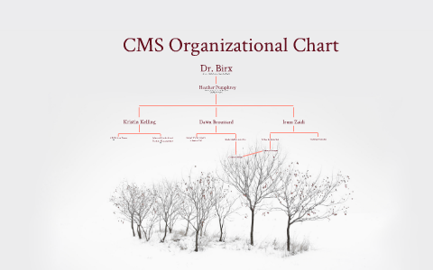 CMS Org Chart by Austin Lawry on Prezi