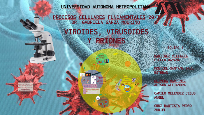 VIROIDES, VIRUSOIDES Y PRIONES by Horacio González Santos on Prezi