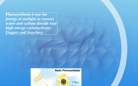 Info Graphic Project Cell Energy by Jeremiah McCoy on Prezi
