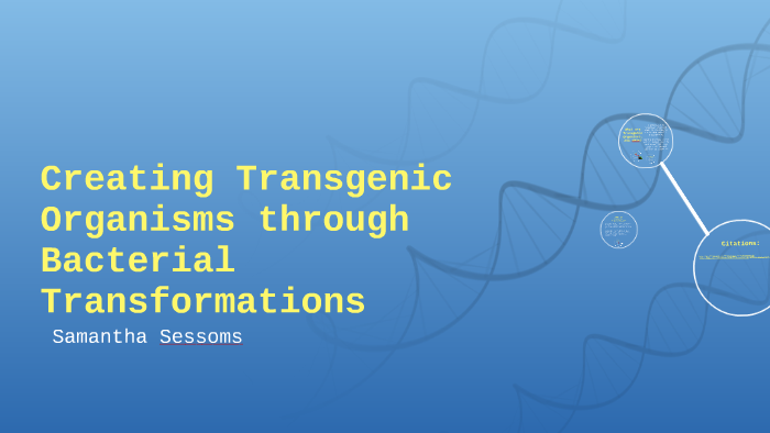 Creating Transgenic Organisms through Bacterial Transformati by ...