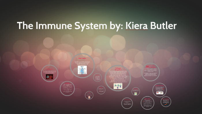 The immune system by Kiera Butler on Prezi