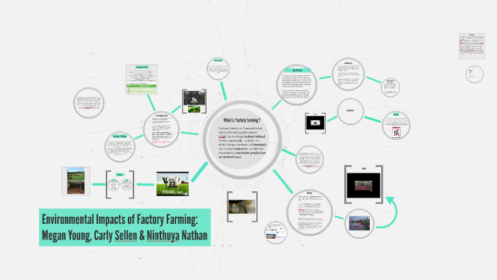Environmental Impacts of Factory Farming by Megan Young