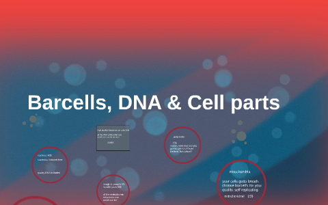 barcells DNA & cell parts by Andrew kancianich on Prezi