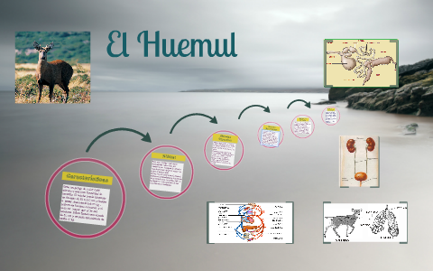 EL HUEMUL by Antonella Corallo on Prezi