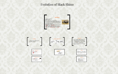 Evolution of Black Rhino by Joel Garcia on Prezi