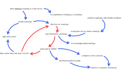 Multiple cause diagram by Ulrike Schoettner on Prezi