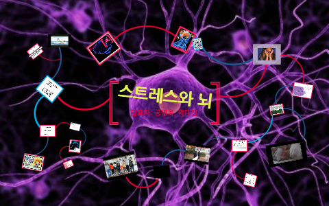 학술제뇌과학ppt by dae jin park on Prezi