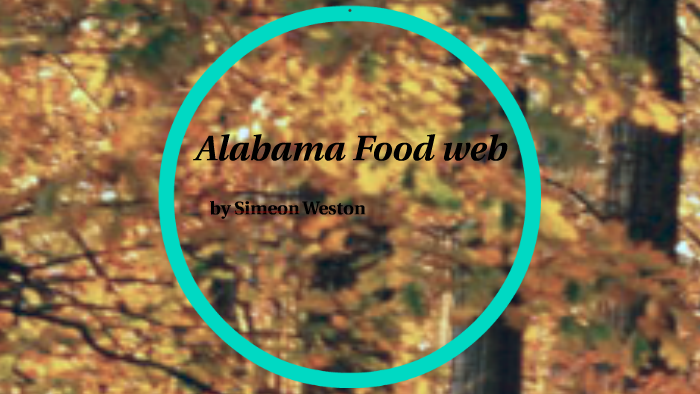 Alabama Food web by simeon weston on Prezi