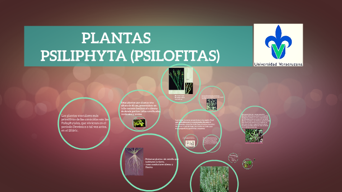 PLANTAS PSILOFITA by alfredo gonzalez on Prezi
