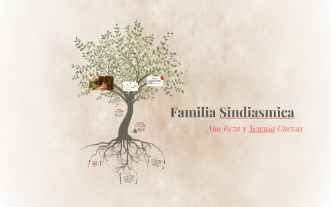 Familia Sindiasmica by Nia Cuo on Prezi