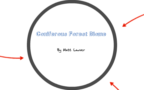 Coniferous Forest Biome - Portland, Oregon. by Matt Lawver on Prezi