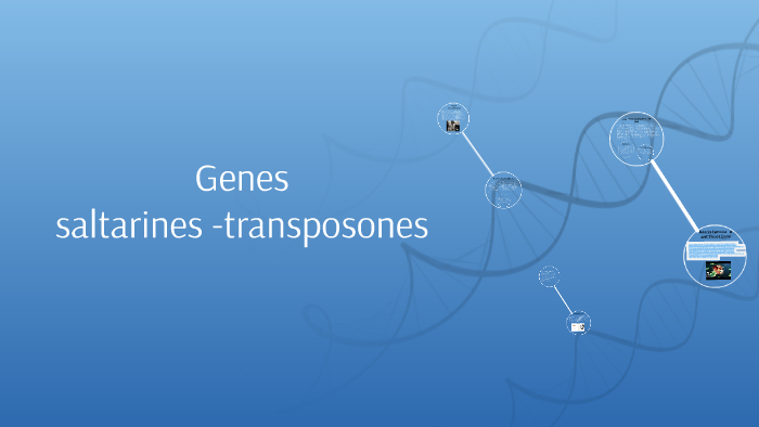 Genes saltarines -transposones by Pablo Guerra on Prezi