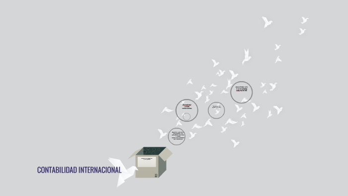 CONTABILIDAD INTERNACIONAL by ana lidia fabian