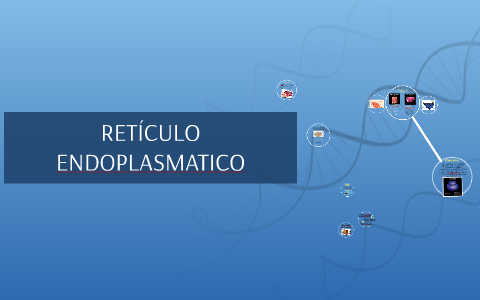 RETICULO ENDOPLASMATICO by Aide Rosales on Prezi