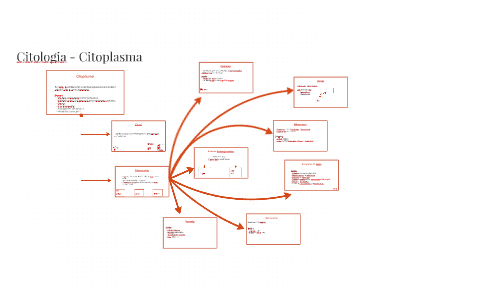 Citologia - Citoplasma by bruna horst on Prezi