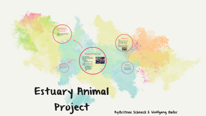 Estuary Animal Project by Brit S. on Prezi