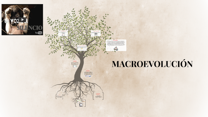 MACROEVOLUCIÓN by natalia beltran on Prezi