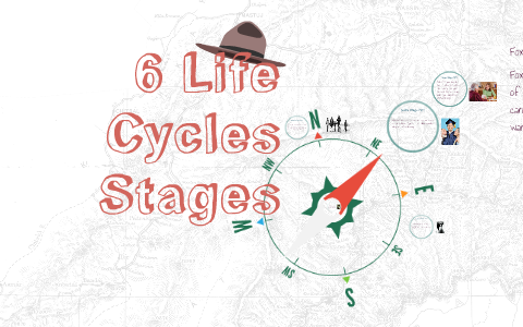 6 Life Cycles Stages by jesse mendoza on Prezi
