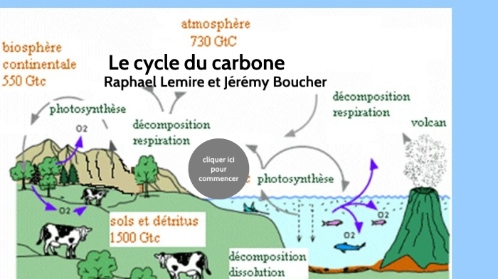 cycle du carbone by Raphael Lemire on Prezi