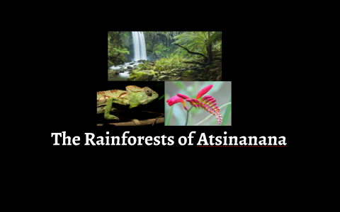The Rainforests of Atsinanana by max hanna on Prezi