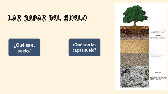 Capas del suelo by Maria HK on Prezi