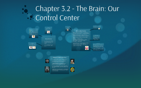 Chapter 3.2 - The Brain: Our Control Center by Lacey Schaut