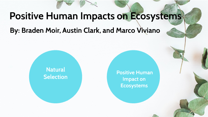Positive Human Impacts on Ecosystems by Marco Viviano on Prezi