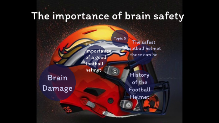 The importance of brain safety by Finn Shaver on Prezi