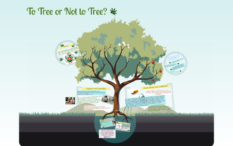 To Tree or Not to Tree? by stacey wong on Prezi