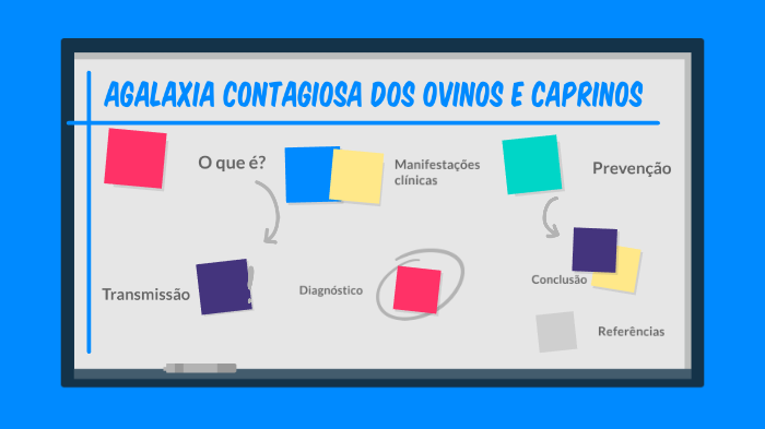 agalaxia by Bianca Bueno on Prezi